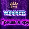 Иконка канала Winner