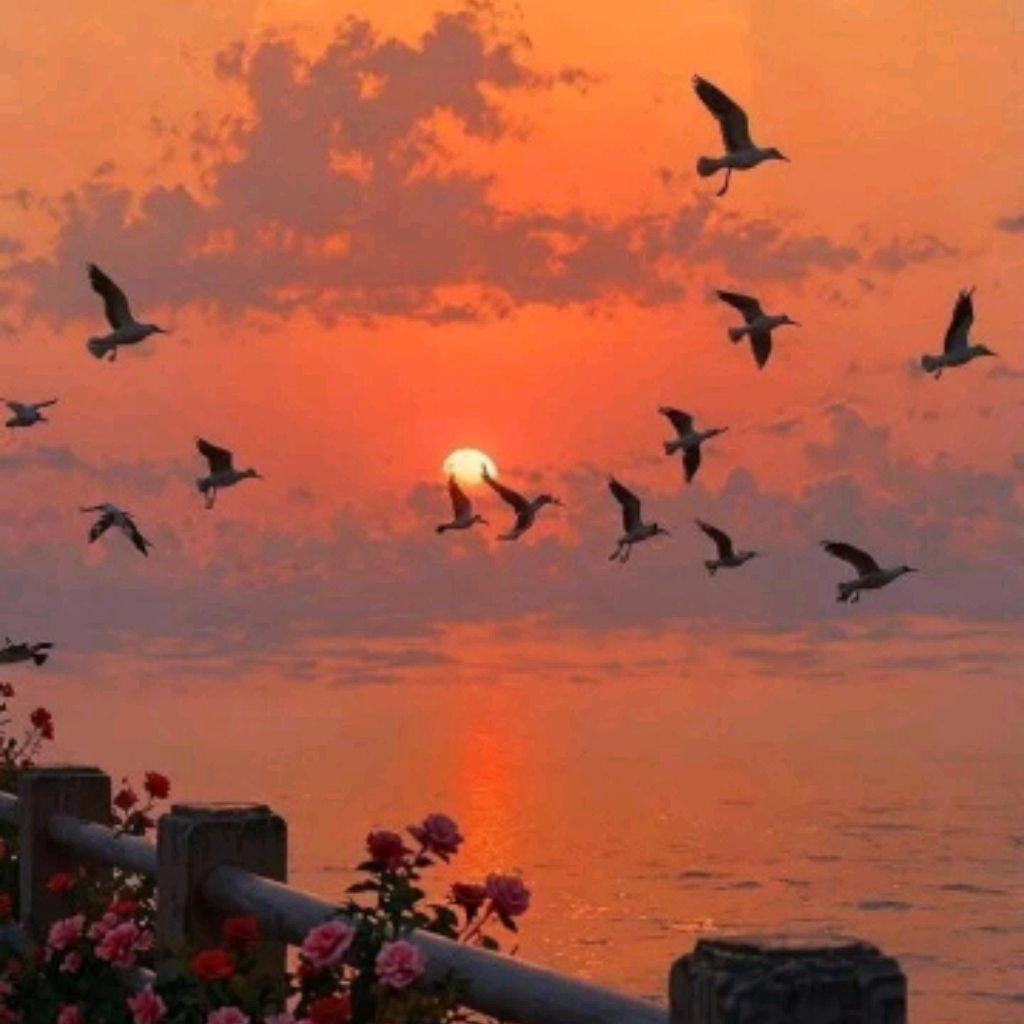 Иконка канала 乂❤🐊𝑳𝒂𝒌𝒐𝒔𝒕乂❤🐊