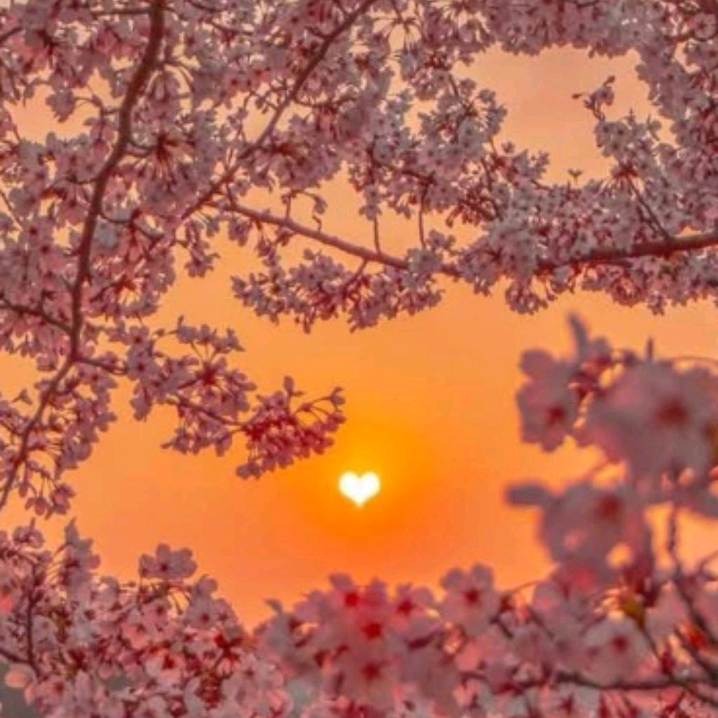 Иконка канала Не толька Каманда 😸