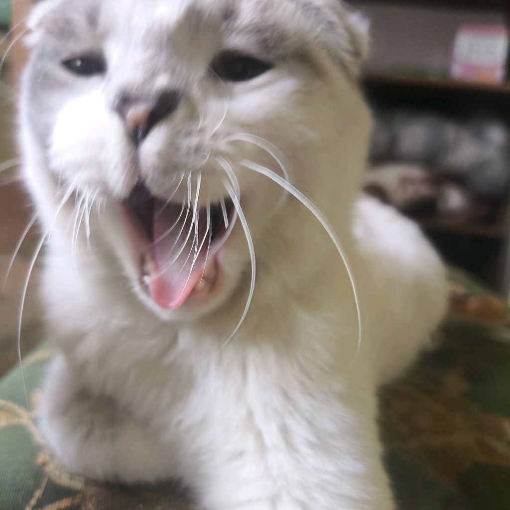 Иконка канала Mariam_8008