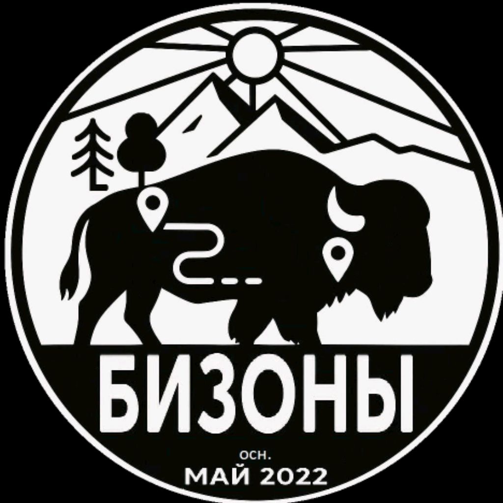Иконка канала МотоБизоны