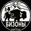 Иконка канала Мото Бизоны