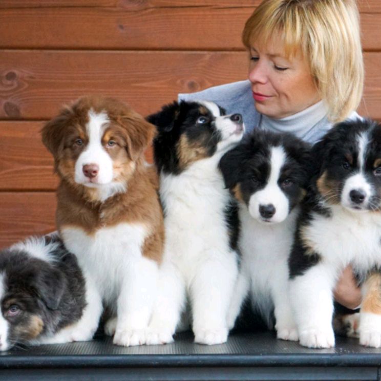 Иконка канала Тётя Лена знает!