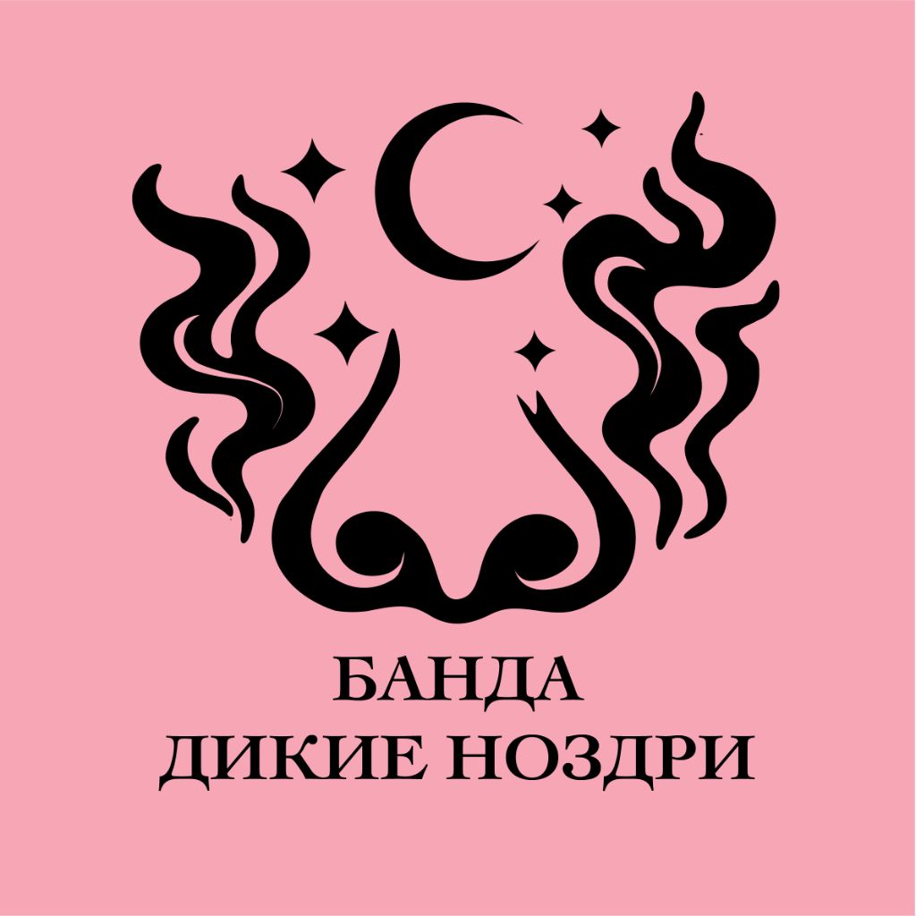 Иконка канала Банда Диких Ноздрей