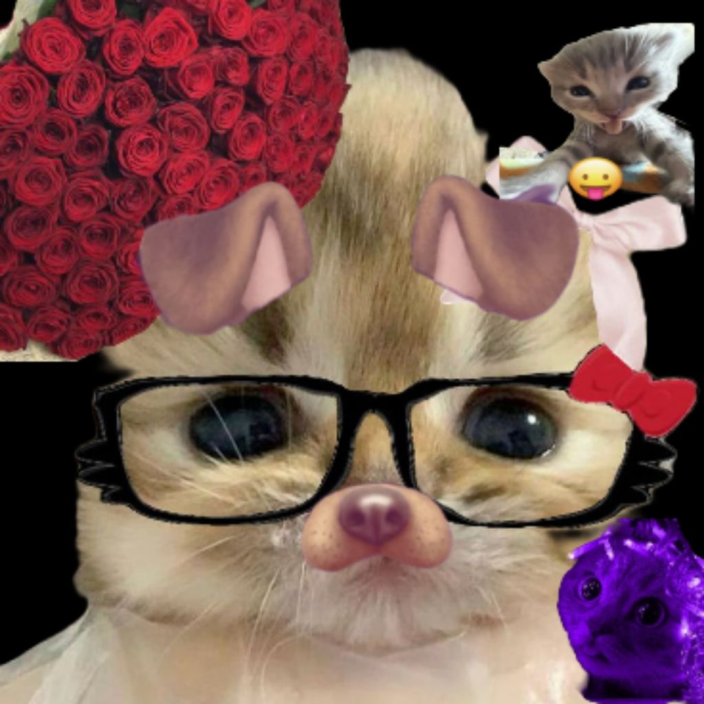 Иконка канала КоТёНоК🌹✨