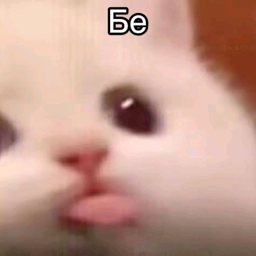 Иконка канала Капитализм и Шоппинг