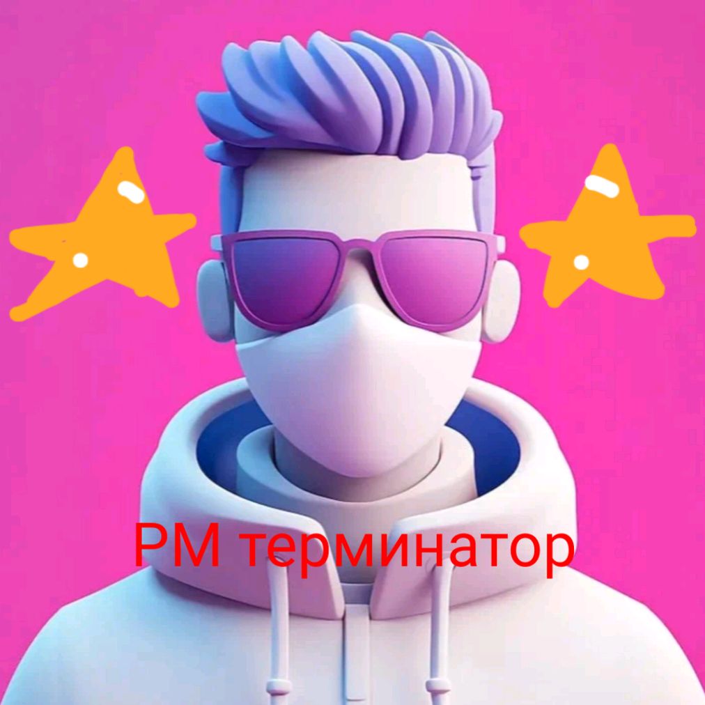 Иконка канала Рм Терминатор