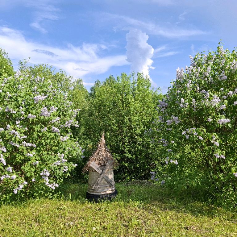 Иконка канала 🌅🎑Природа родного края🌄🏞