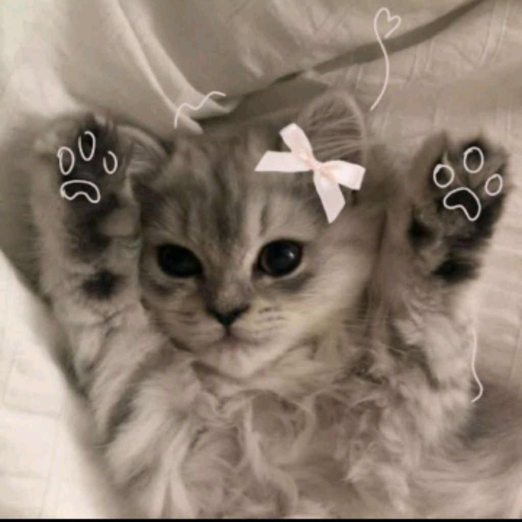 Иконка канала Что снимать