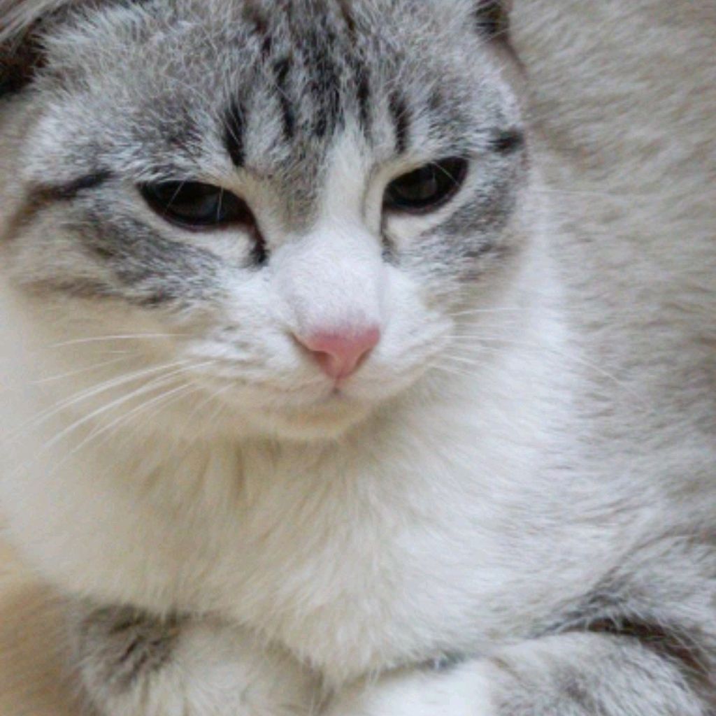 Иконка канала ☺️Veronica _nika☺️