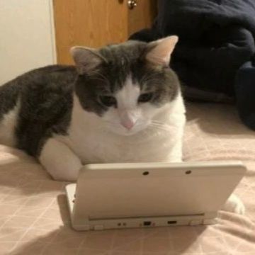 Иконка канала Никита Семичастнов