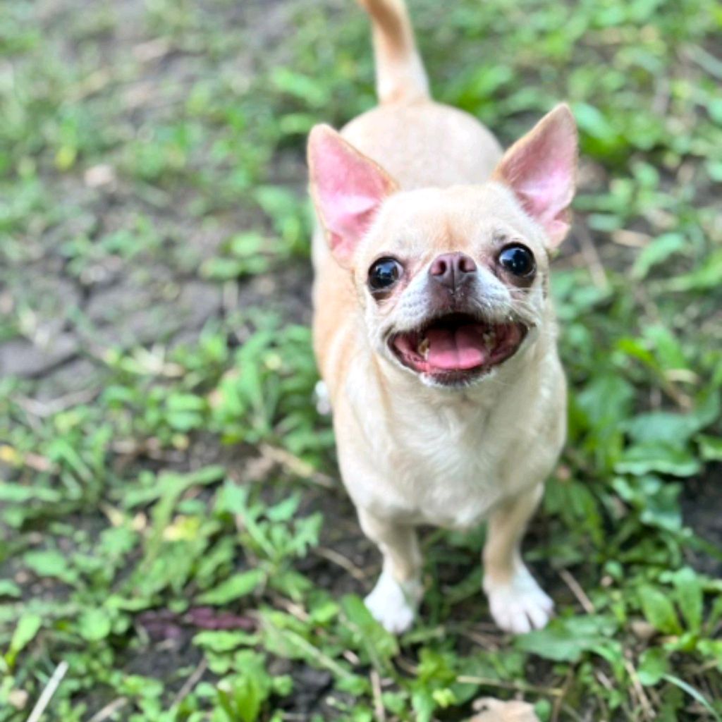 Иконка канала Dima_ttr2