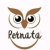 Иконка канала Первушина Наталья Сибирячка в Калининграде