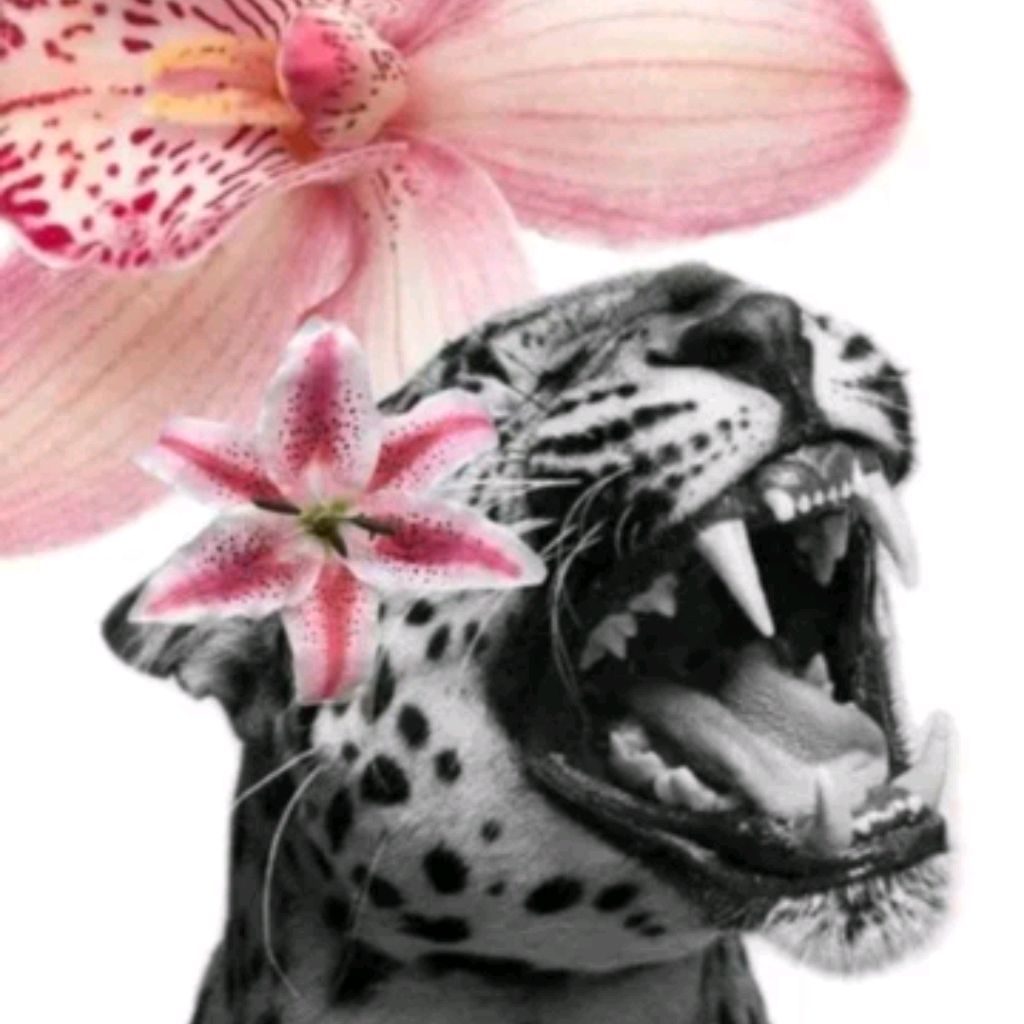 Иконка канала Одуван🌼🐚