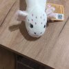 Иконка канала Аксалотоль