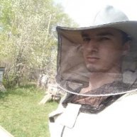 Иконка канала Пасека МедведЯ