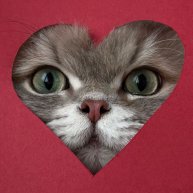 Иконка канала channel7