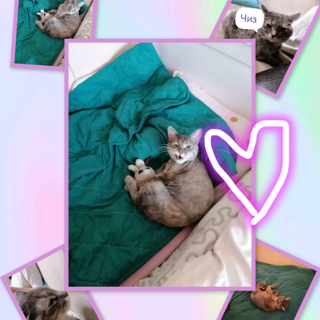 Иконка канала Elena