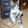 Иконка канала 🥴_Cat Guitar_🎸