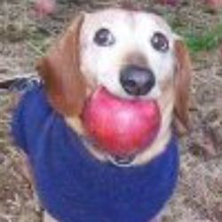 Иконка канала майнкрафт и другие игры