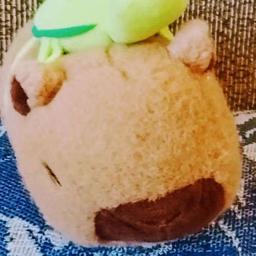 Иконка канала Даша+капибара=♥️❣️💙