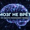 Иконка канала Мозг не врёт