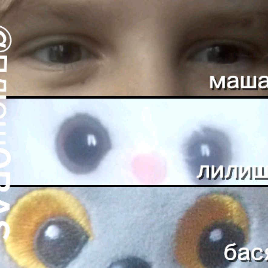 Иконка канала •ПЛЮШ0BAS🐾