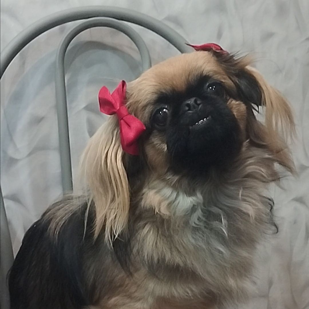 Иконка канала МэриМил