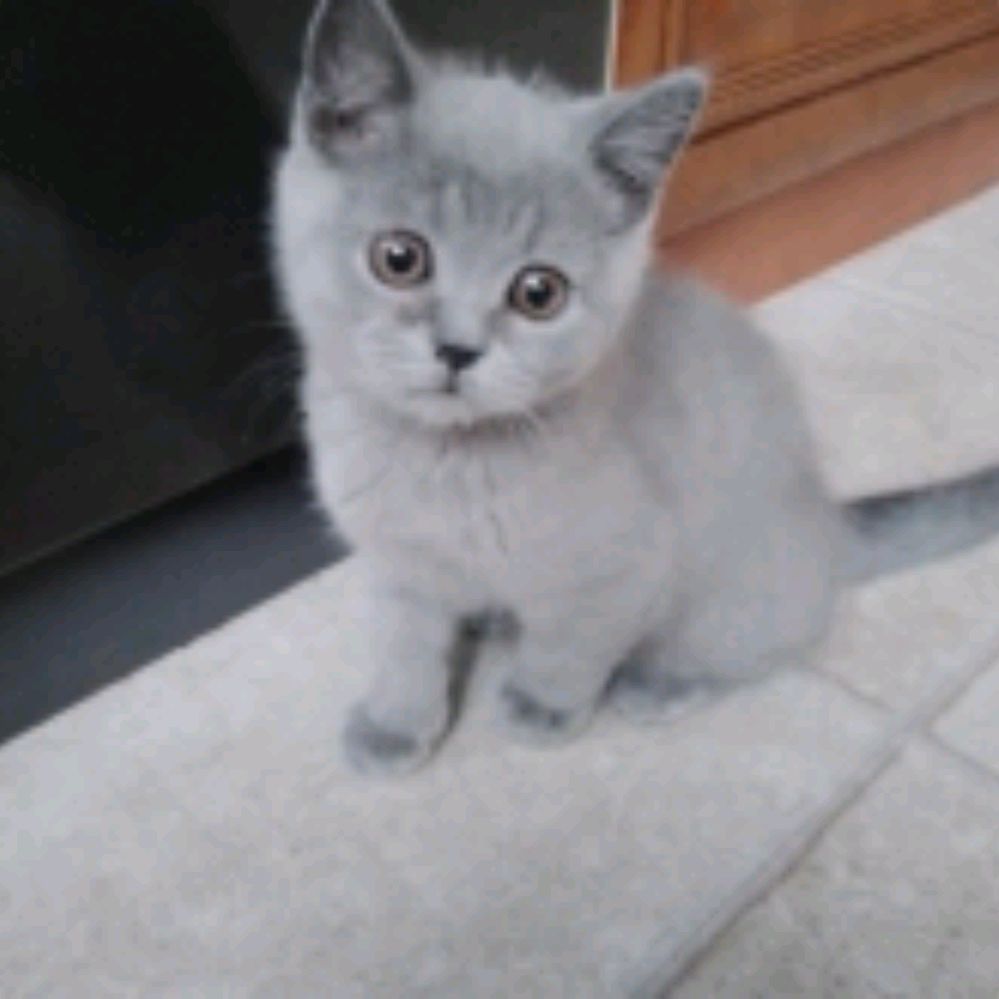 Иконка канала vova_games45😈