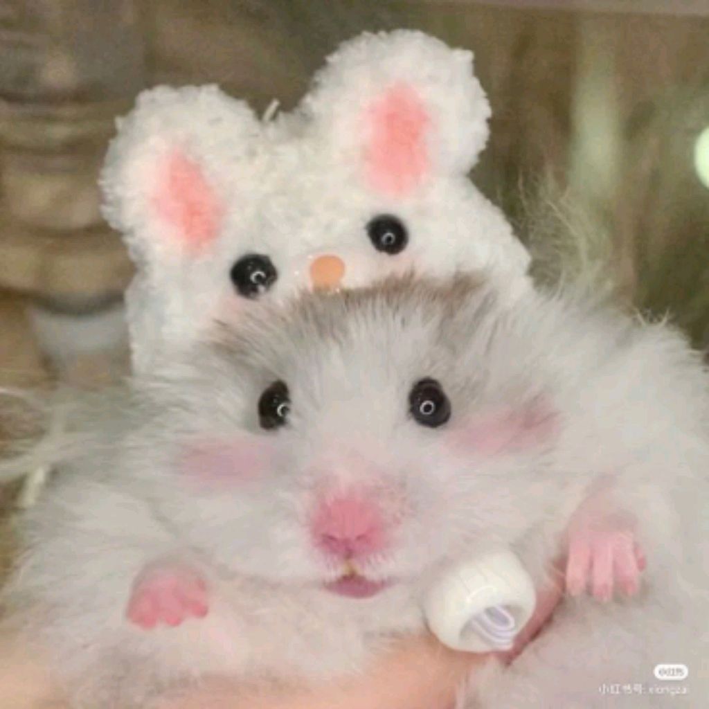 Иконка канала Хомячки 🐹✔