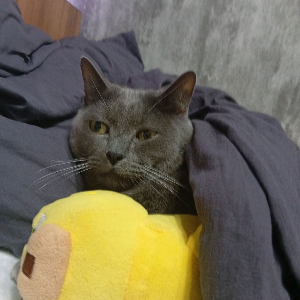 Иконка канала Гизаранкатоп