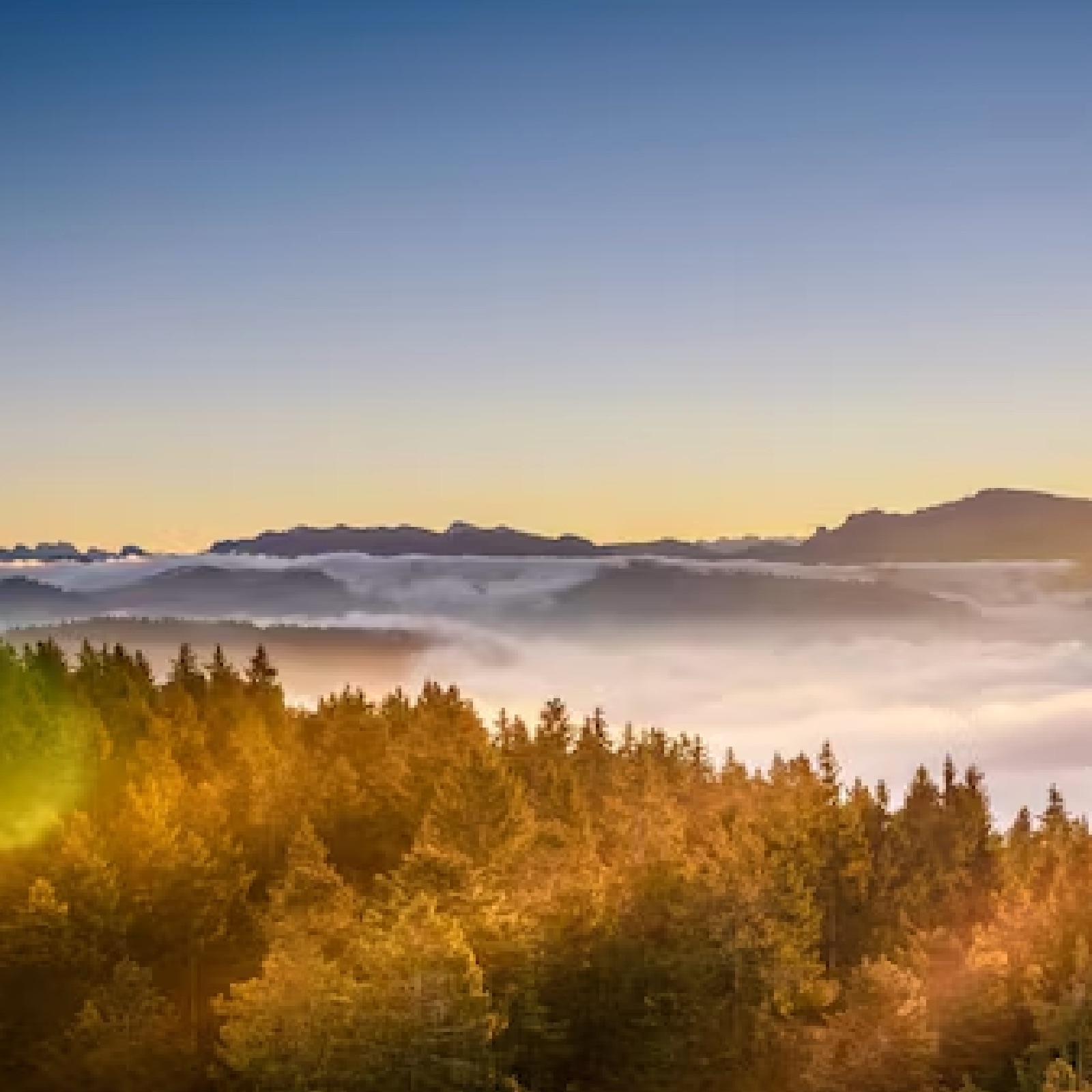 Иконка канала how I live my life