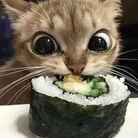 Иконка канала RollMan4ik ☑️