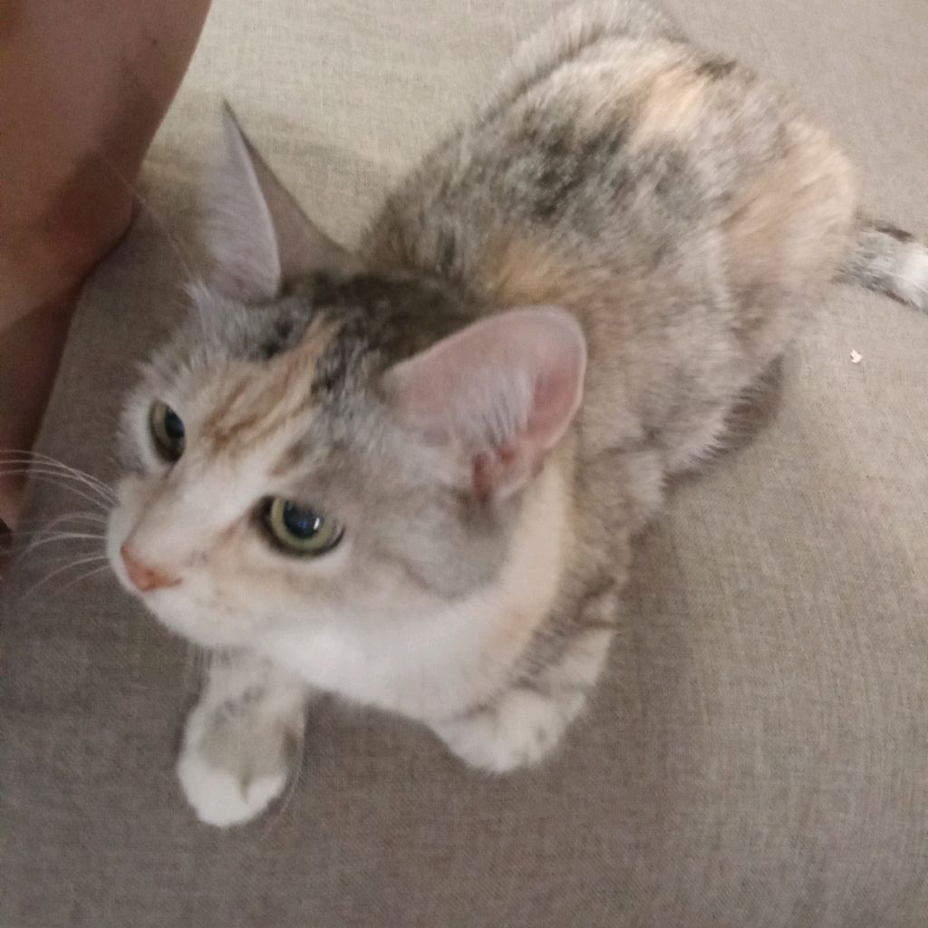 Иконка канала Dlanа•∆•