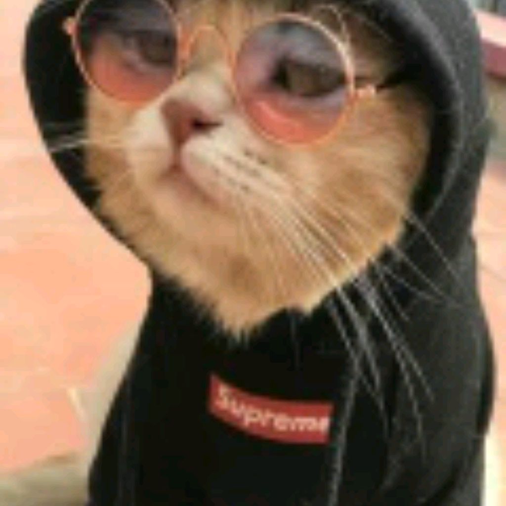 Иконка канала Gold Ran