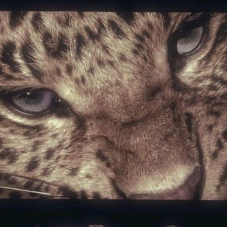 Иконка канала Просто Милана 🫶🏼