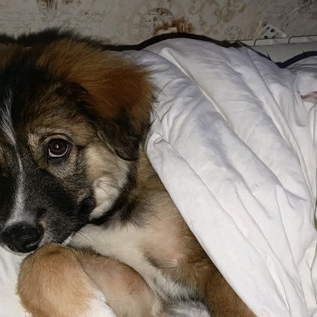 Иконка канала channel76509032