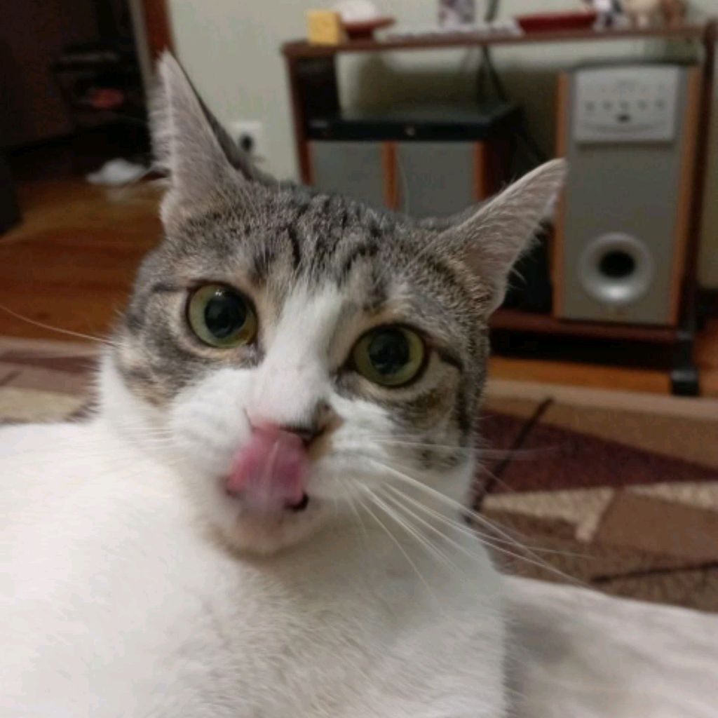 Иконка канала Джюз