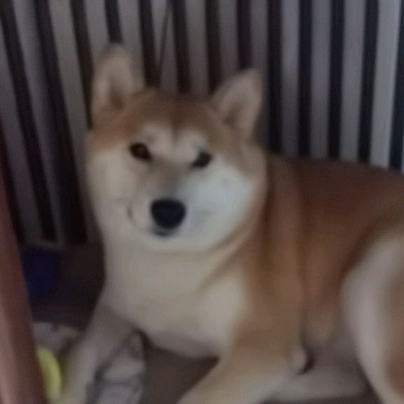 Иконка канала КомпотПРОФИ