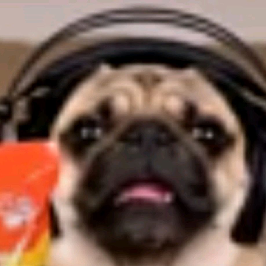 Иконка канала TheSebastian123321notfound