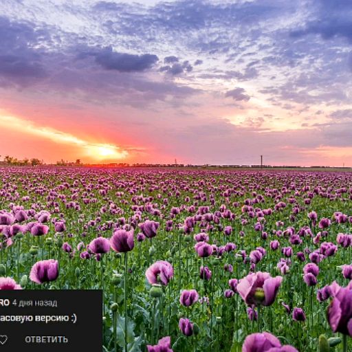 Иконка канала Кисуня 💢