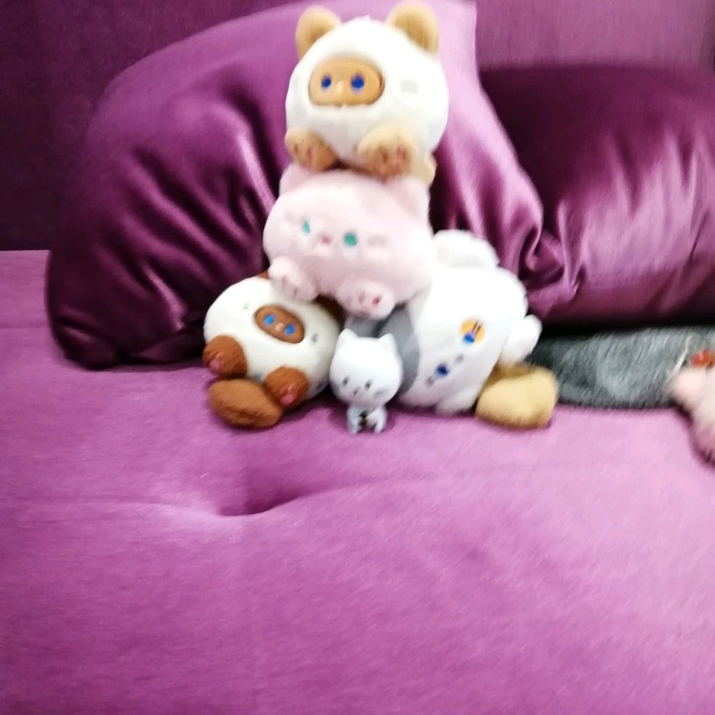 Иконка канала 🤍🪽Белый🪽🤍🤍🪽 Кот🪽🤍 🤍🪽 Надя🤍🪽