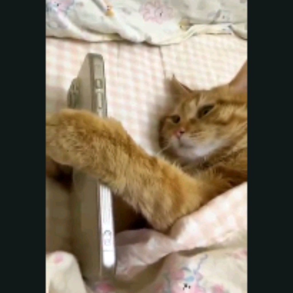 Иконка канала Standoff 200