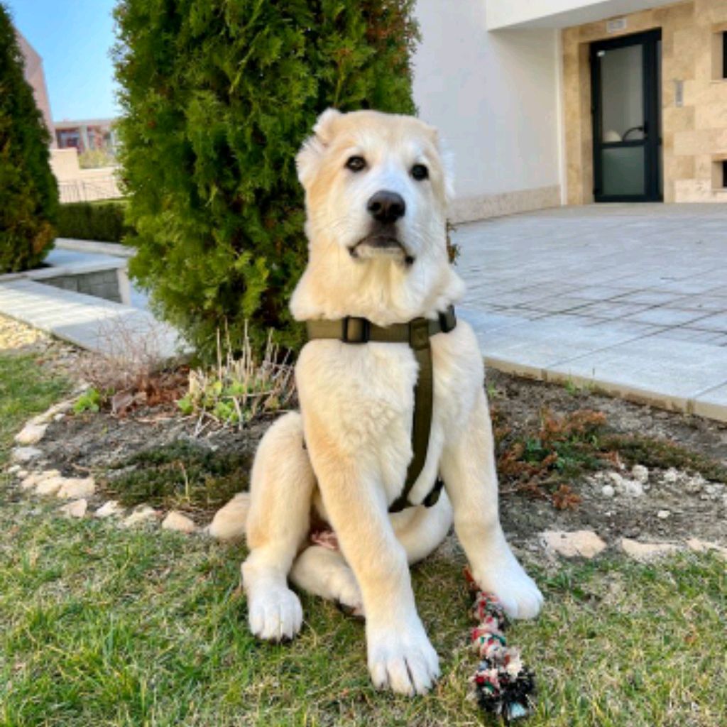 Иконка канала ✨𝕰𝖖𝖚𝖊𝖘𝖙𝖗𝖎𝖆_𝖌𝖎𝖗𝖑𝖘✨️