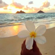 Иконка канала 🌼@~`•`|||•`~•`Цветочки~`•``||`~~`•,🌼