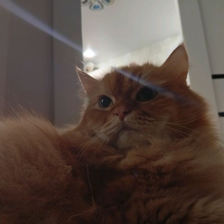 Иконка канала Максим П