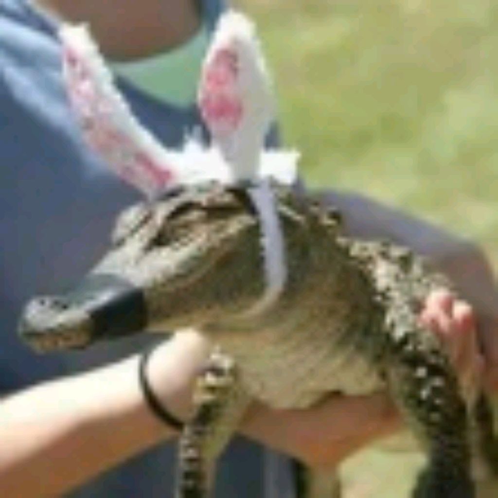 Иконка канала Randomdemon74