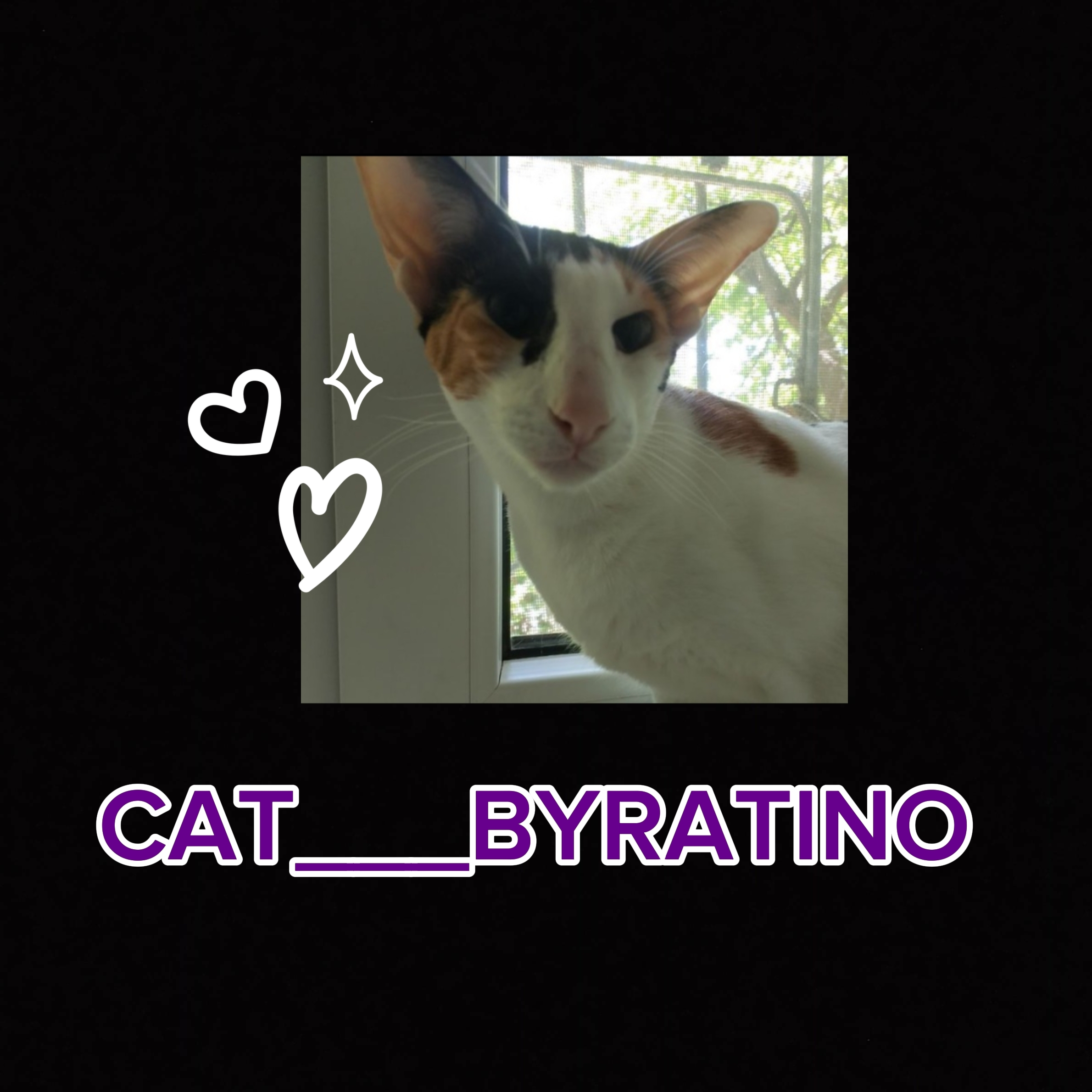 Иконка канала CAT BYRATINO