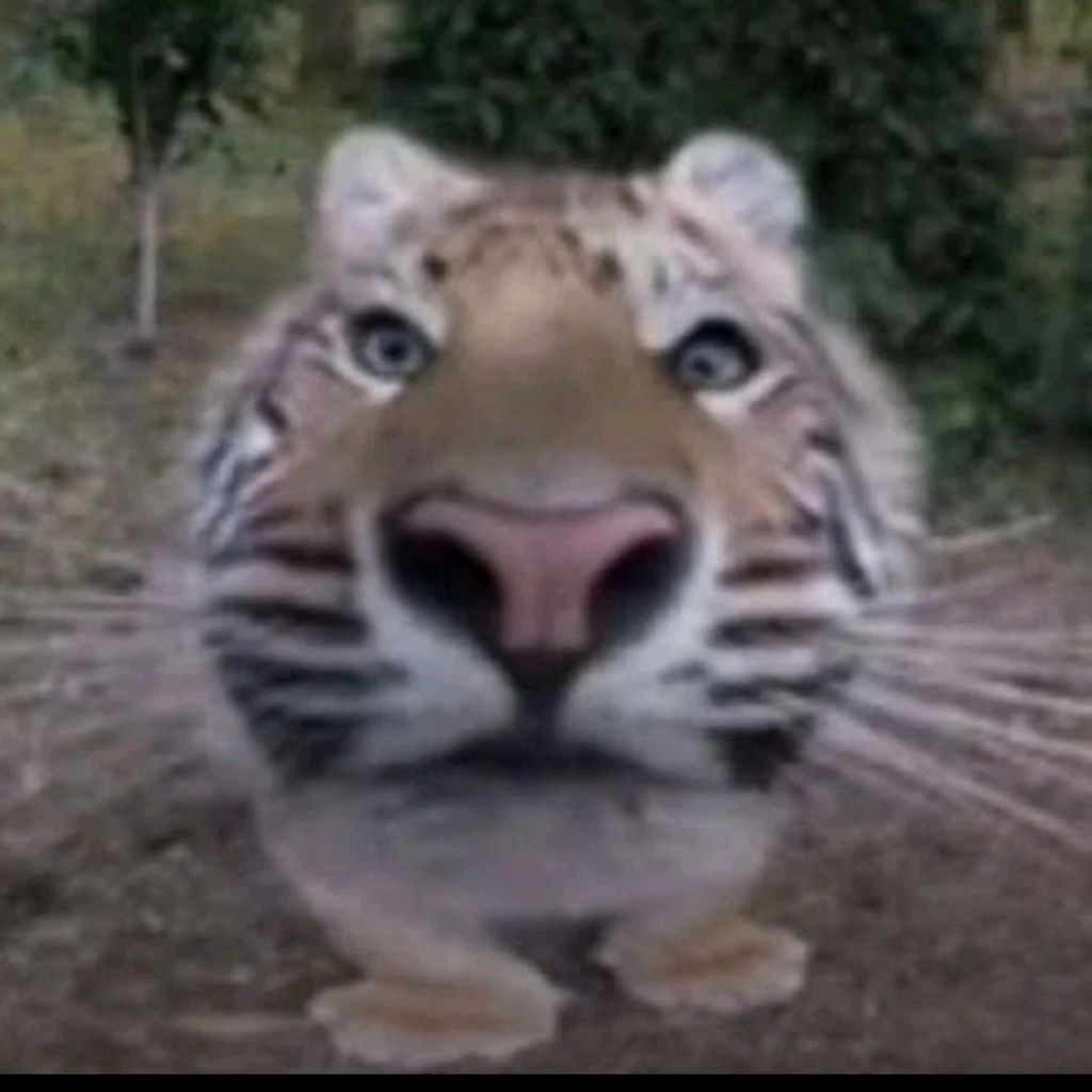 Иконка канала Слава