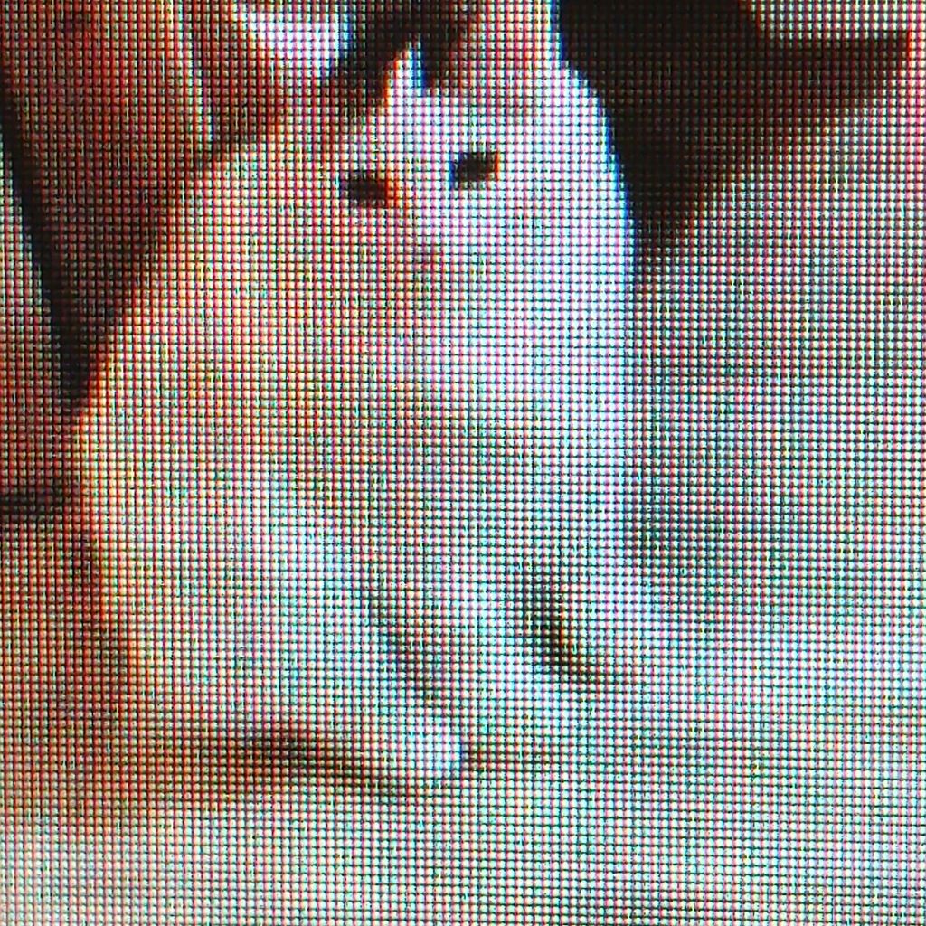 Иконка канала Морсик